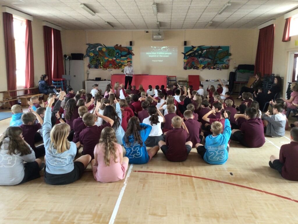 Display Board – Plastic Clever Schools