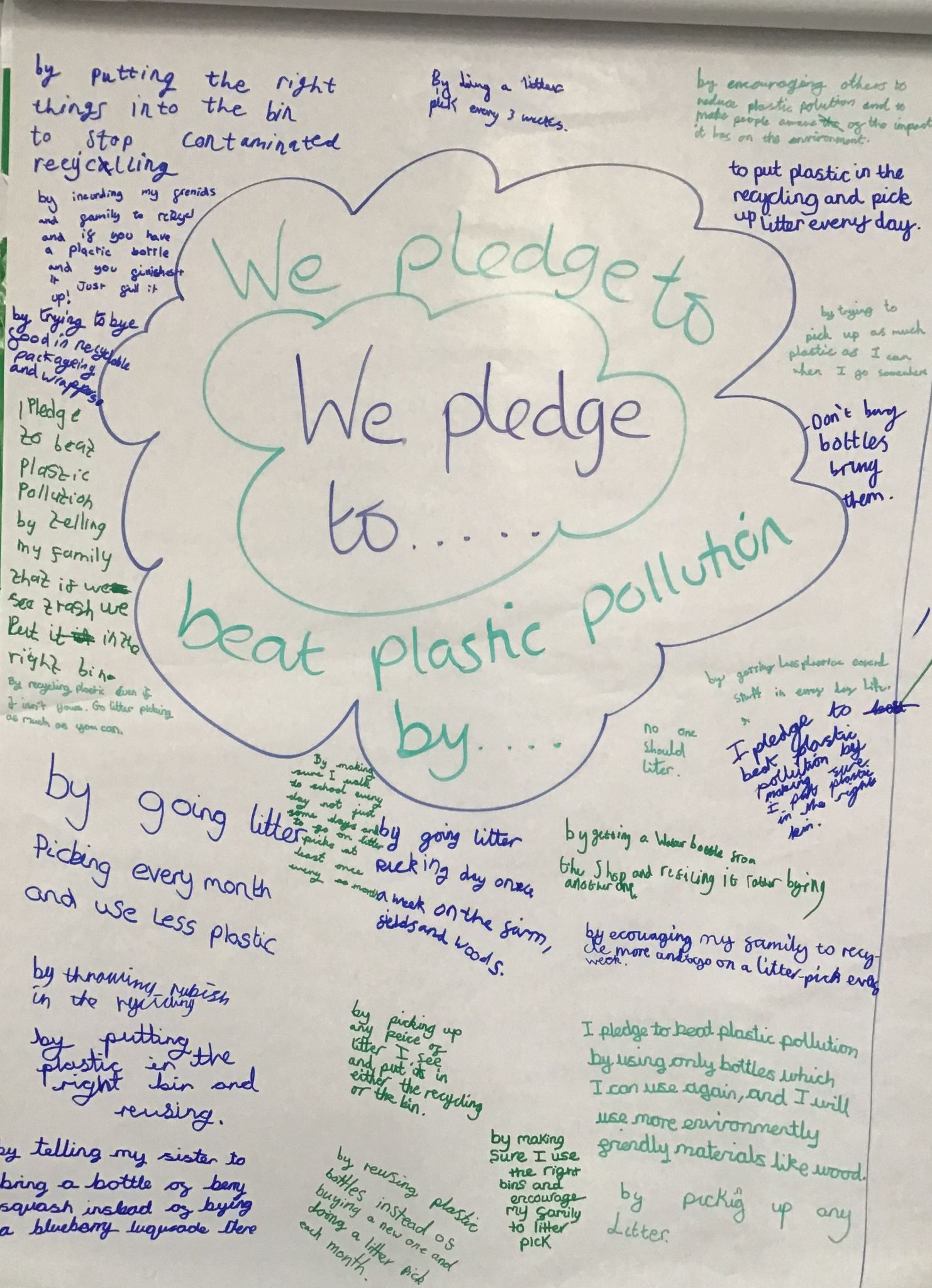 pledges to beat plastic pollution – Plastic Clever Schools
