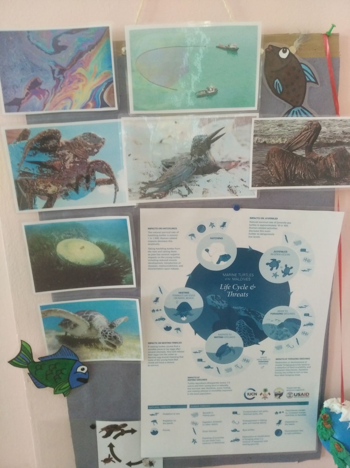 Analyzing plastic pollution and its effects – Plastic Clever Schools